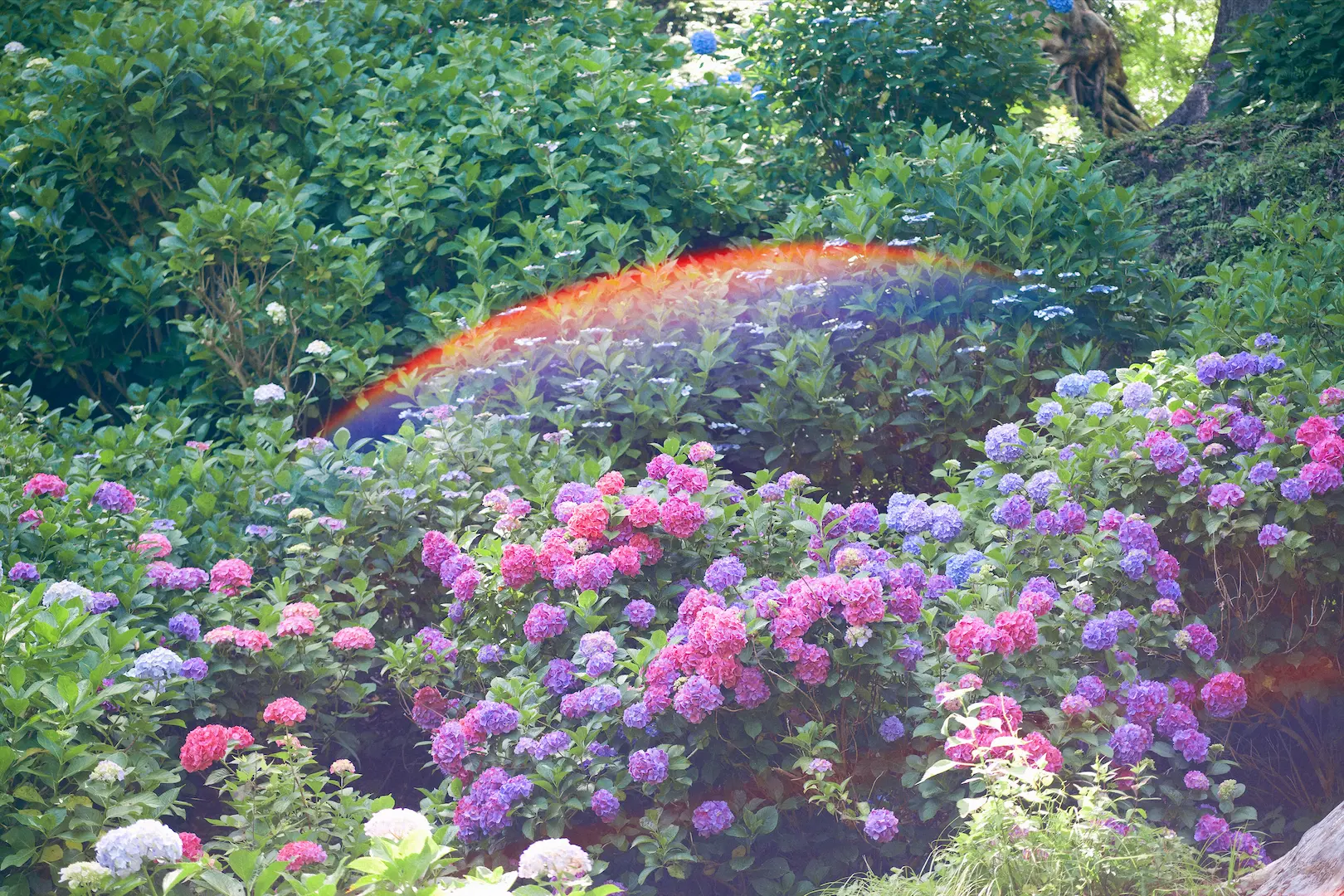 相册 | Jack's Space