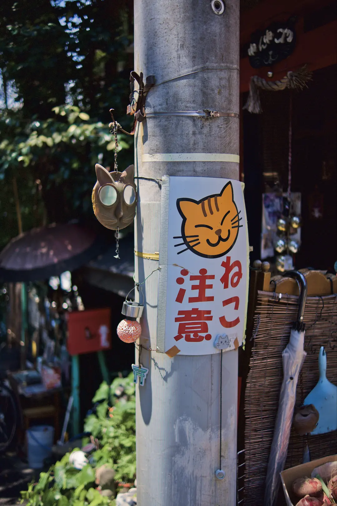 相册 | Jack's Space