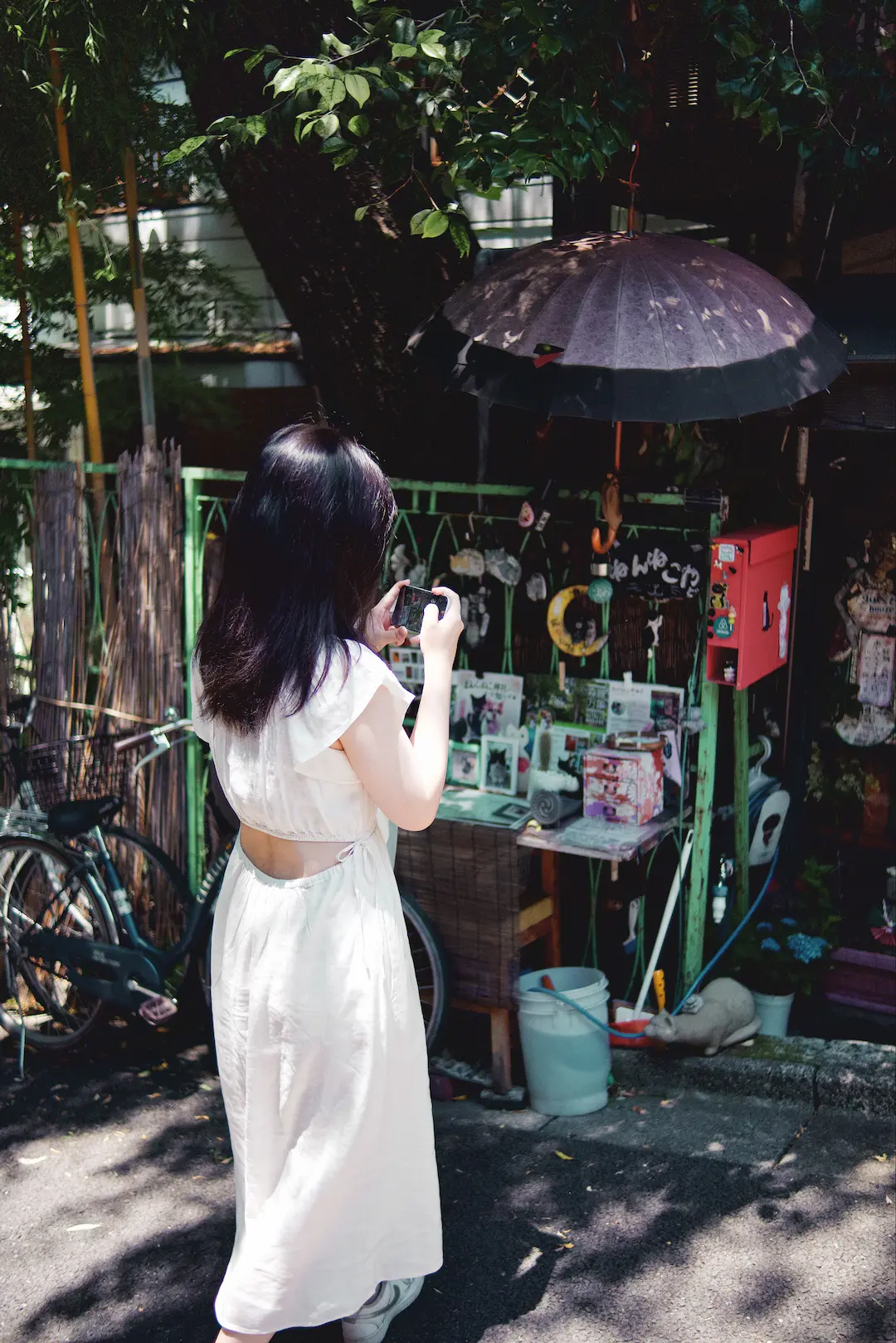 相册 | Jack's Space