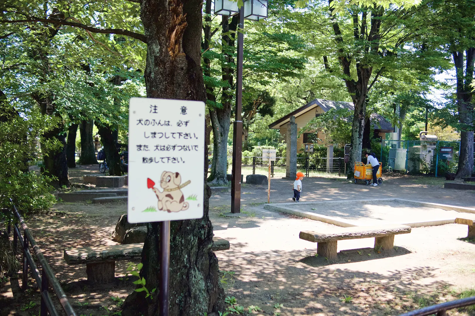 相册 | Jack's Space