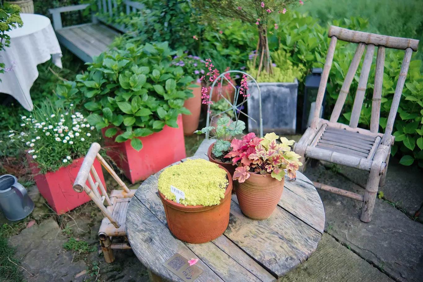 逃离喧嚣，再游巴谷宿集 | Jack's Space